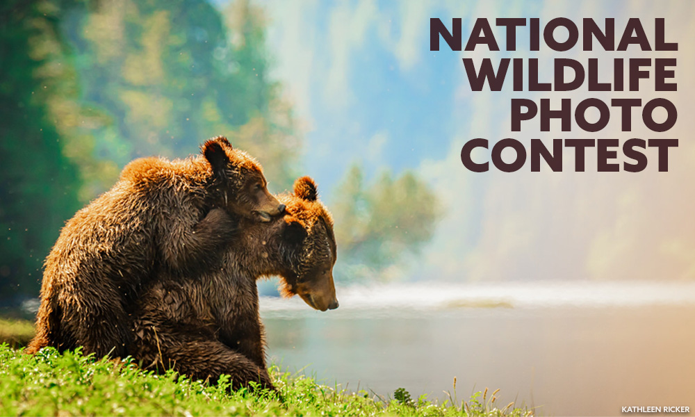 National Wildlife Federation